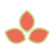 Natch Snacks | Premium Vegan & Clean-Label Healthy Snacks